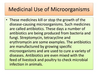 microorganisms.pptx