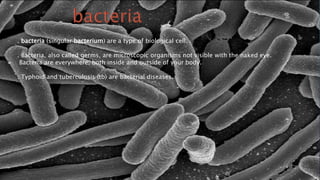 Microorganisms.pptx