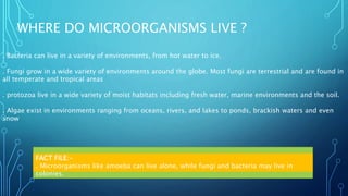 Microorganisms.pptx