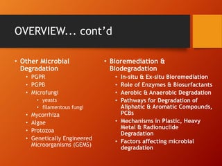 Microorganisms in Abatement of Pollutants | PPTX