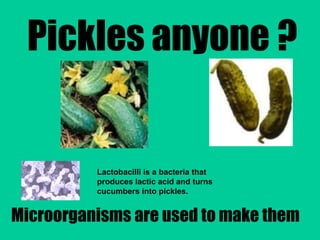 Microorganisms (plannts;aAnimal.ppt.pptx