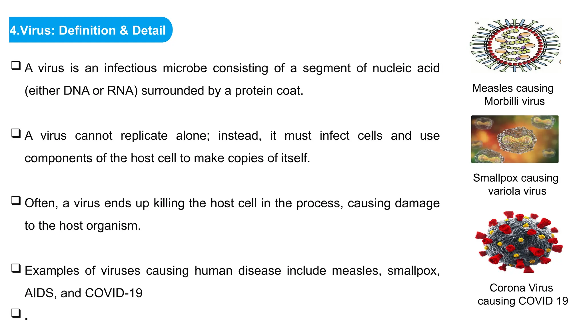 Microorganisms Science Chapter Class 8 CBSE | PPTX