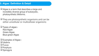 Microorganisms Science Chapter Class 8 CBSE | PPTX | Biological ...
