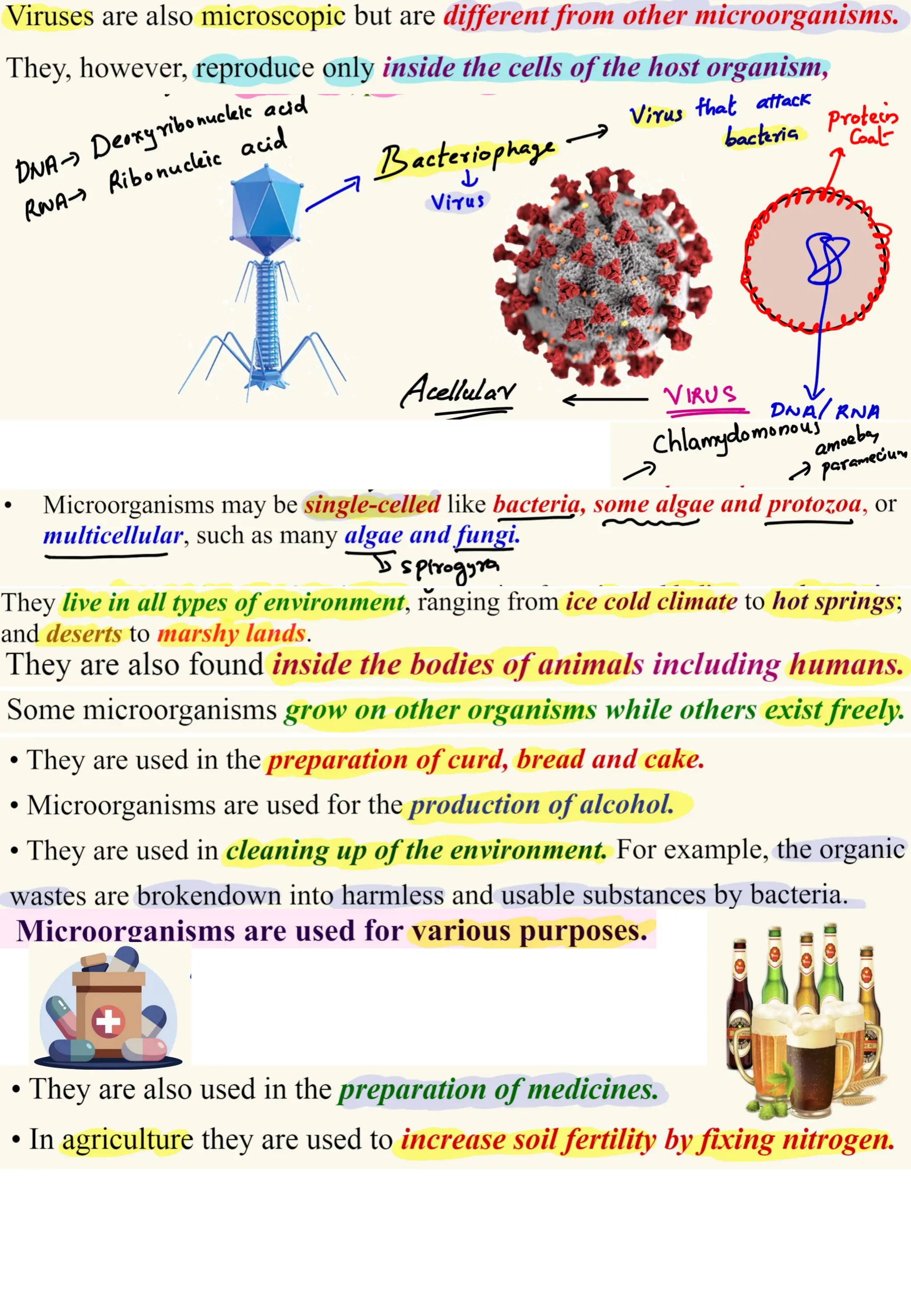 Micro organisms CBSE class 8 Science Ch 2.pptx