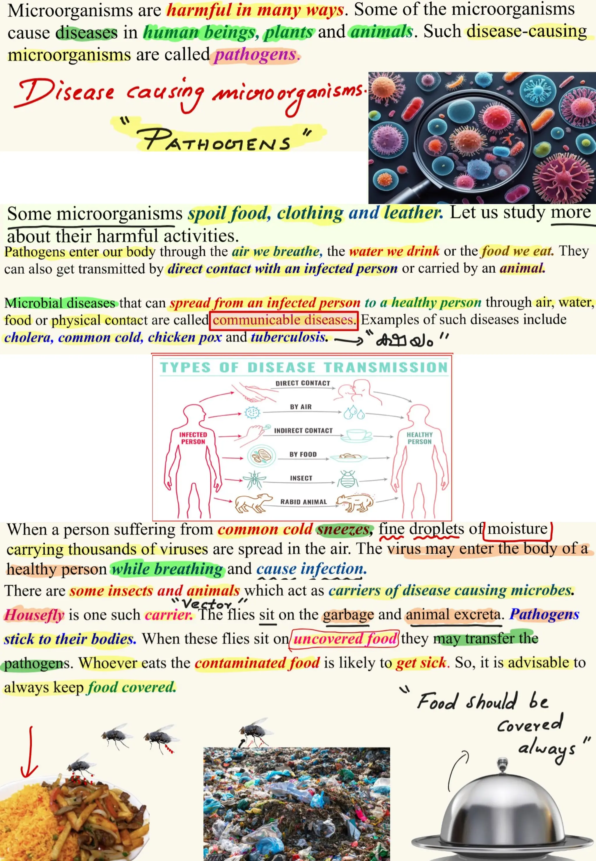 Micro organisms CBSE class 8 Science Ch 2.pptx