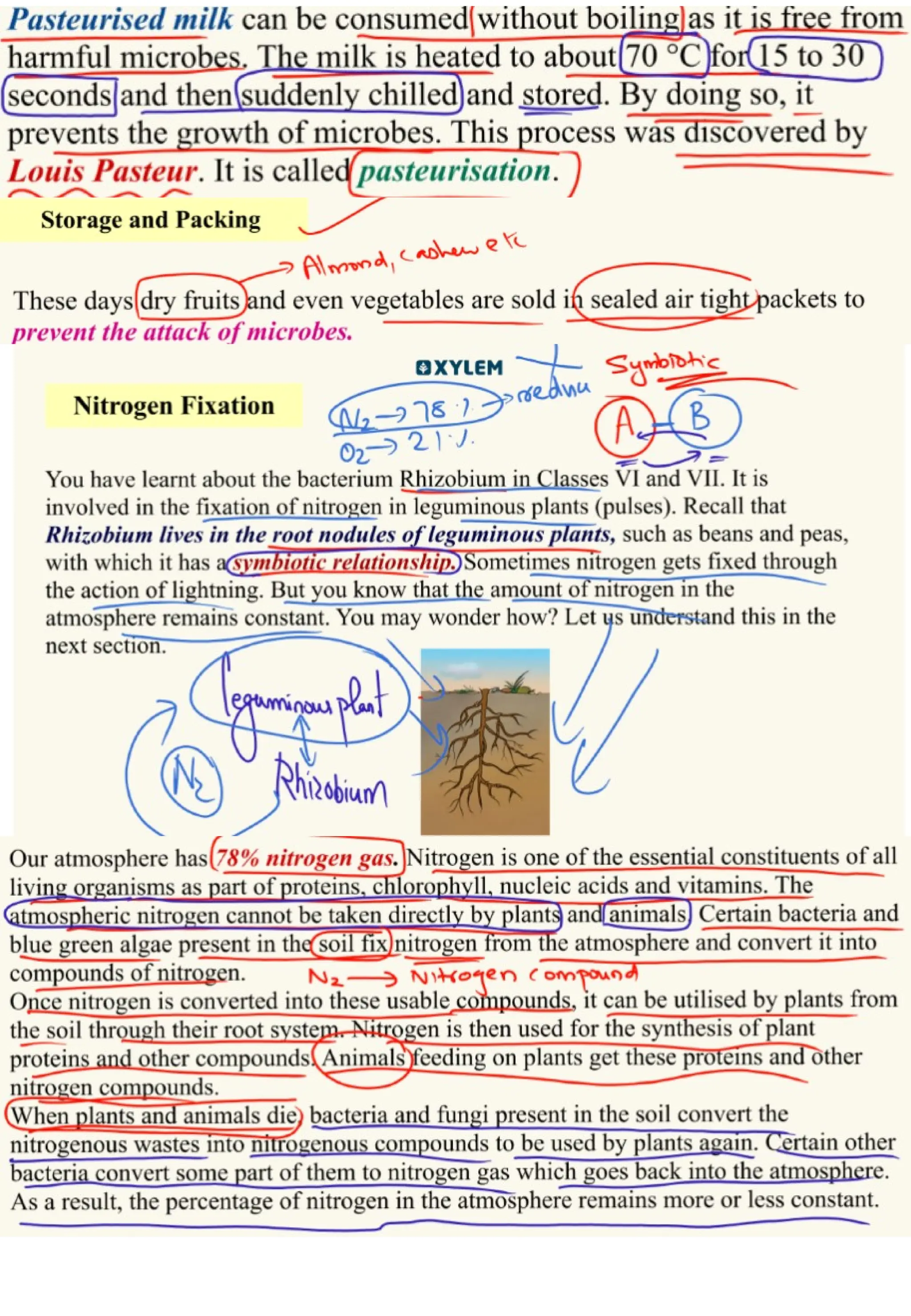 Micro organisms CBSE class 8 Science Ch 2.pptx
