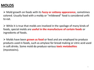 Microorganisms-Important-....in-Food.pdf