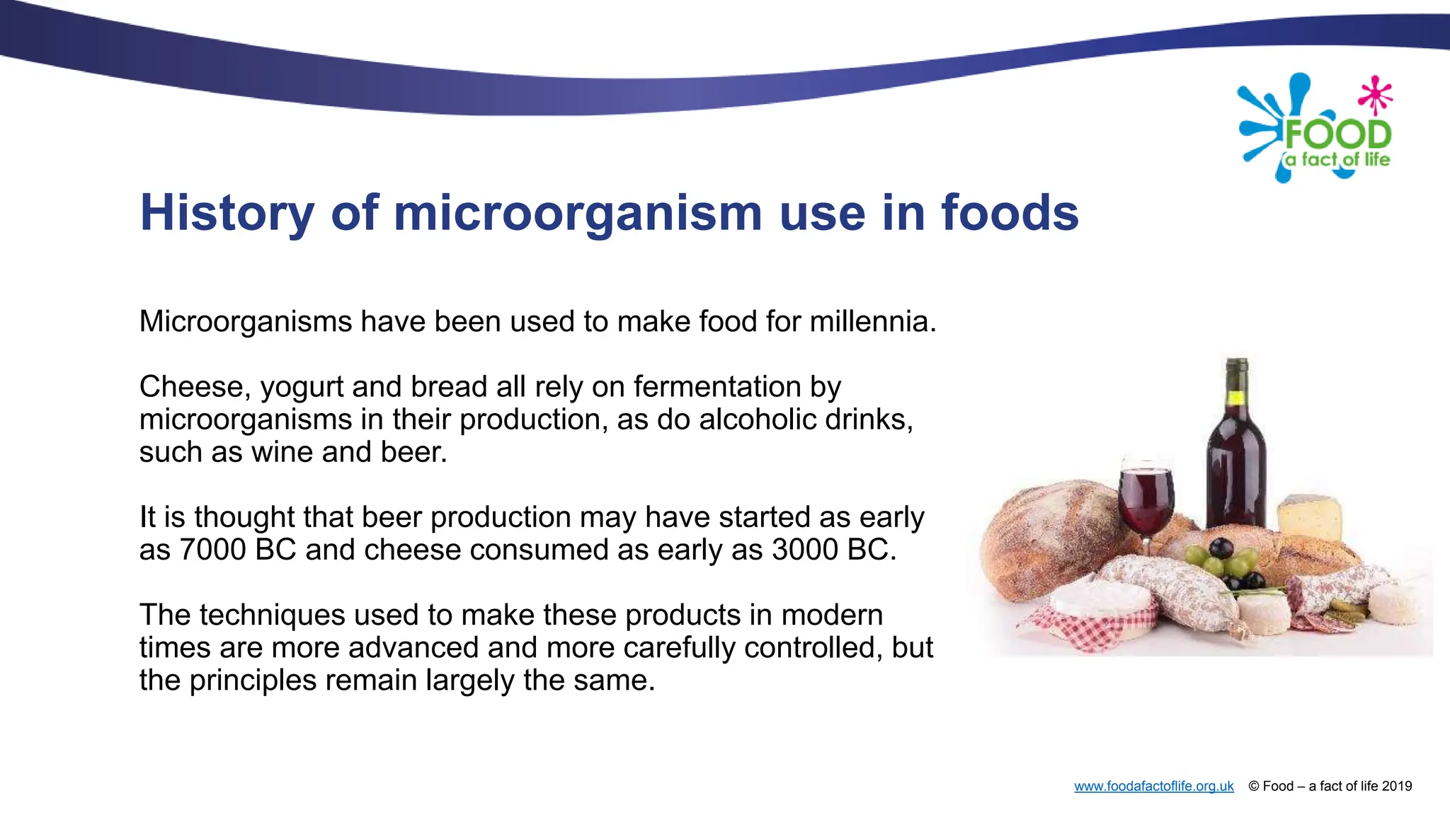 microorganisms-in-food-production.pptx