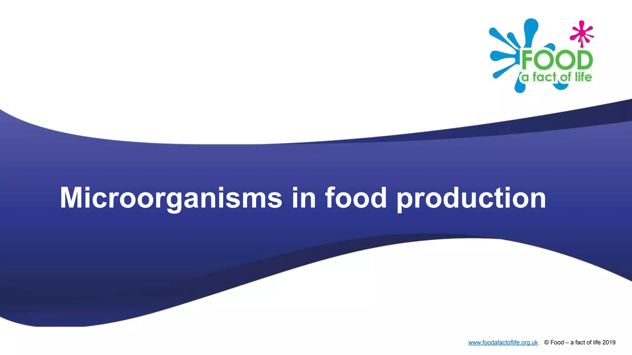 microorganisms-in-food-production (1).pptx