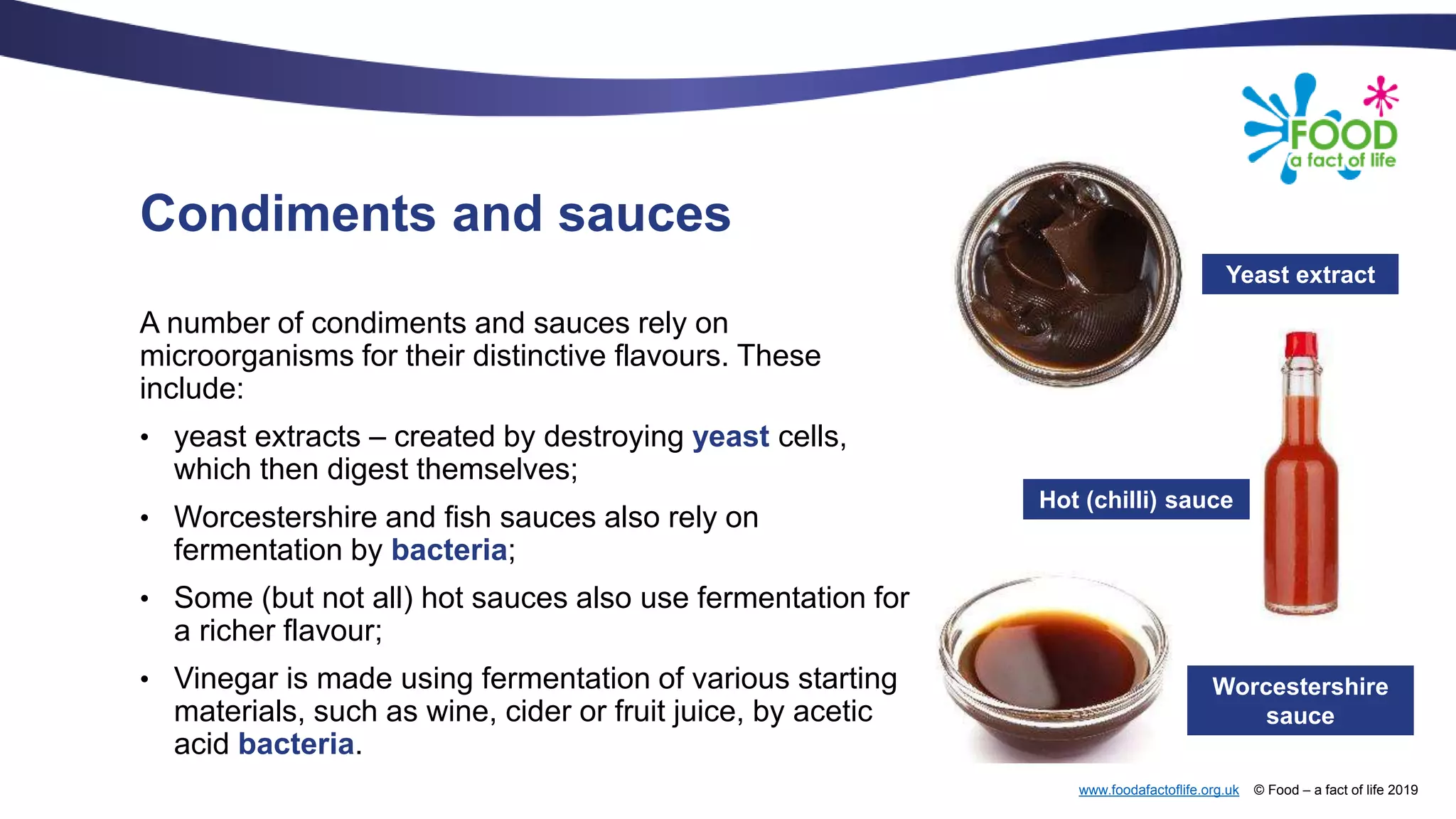 microorganisms-in-food-production (1).pptx