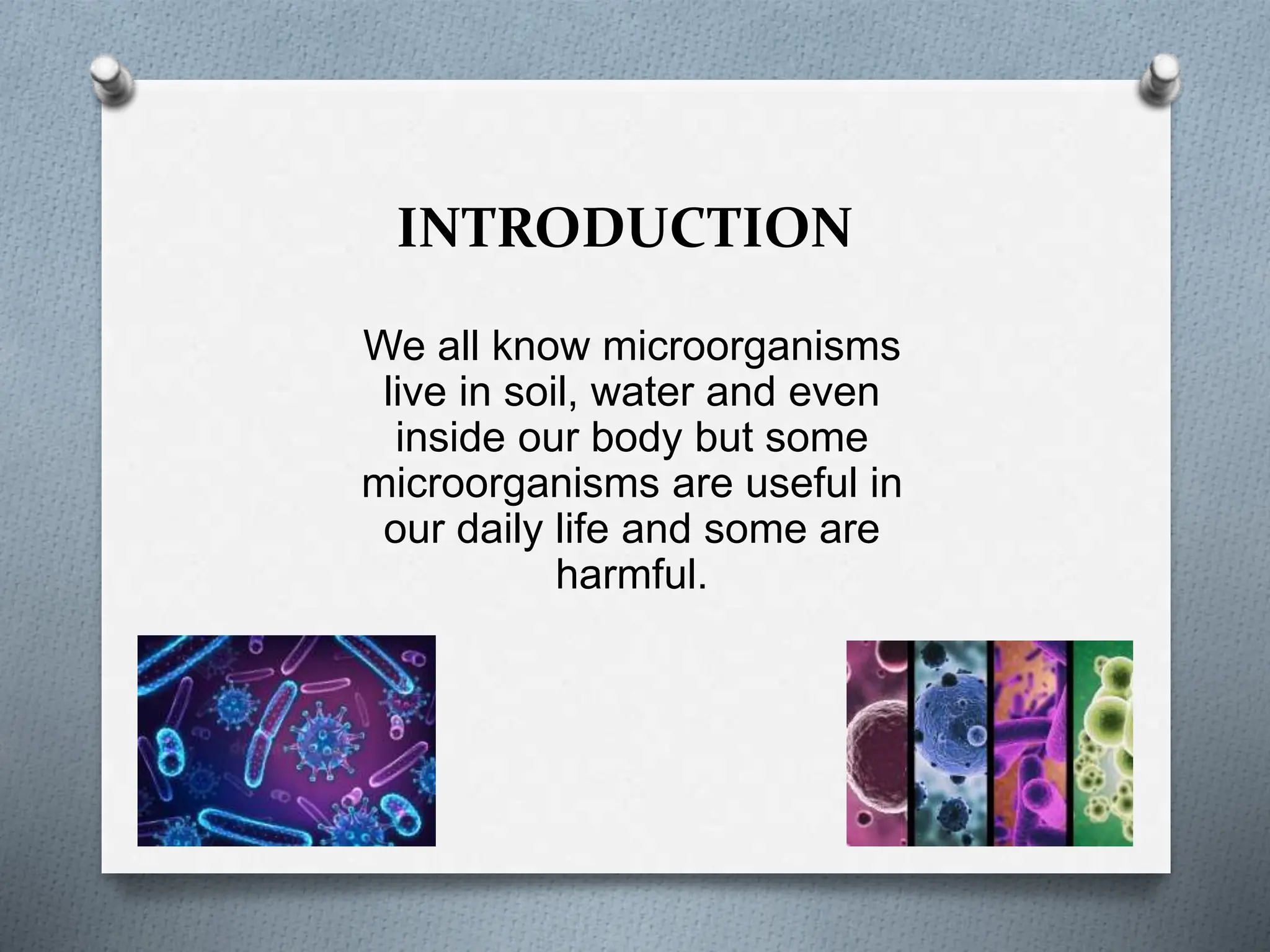 Harmful and Useful Microorganisms Presentation | PPTX
