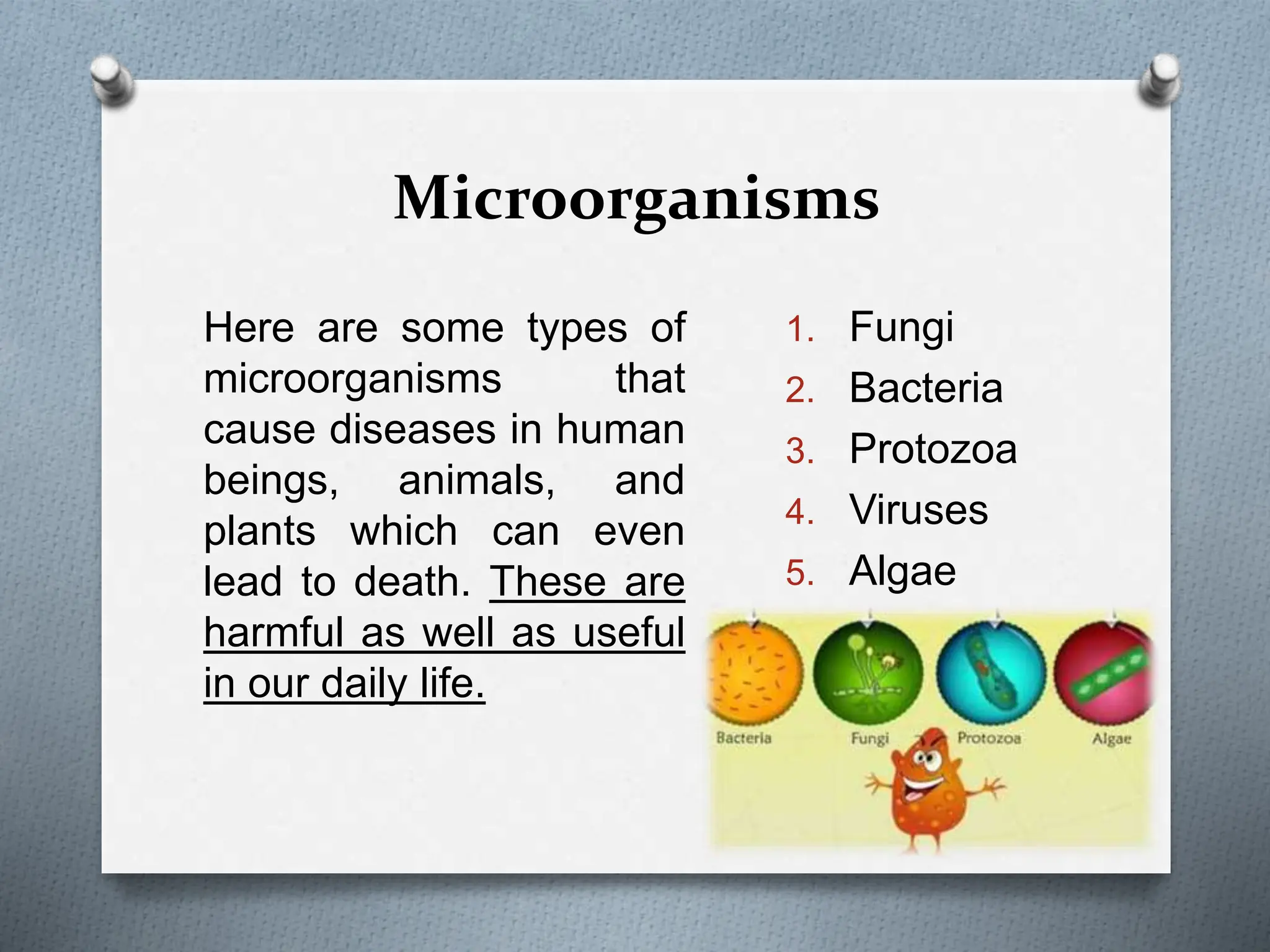 Harmful and Useful Microorganisms Presentation | PPTX