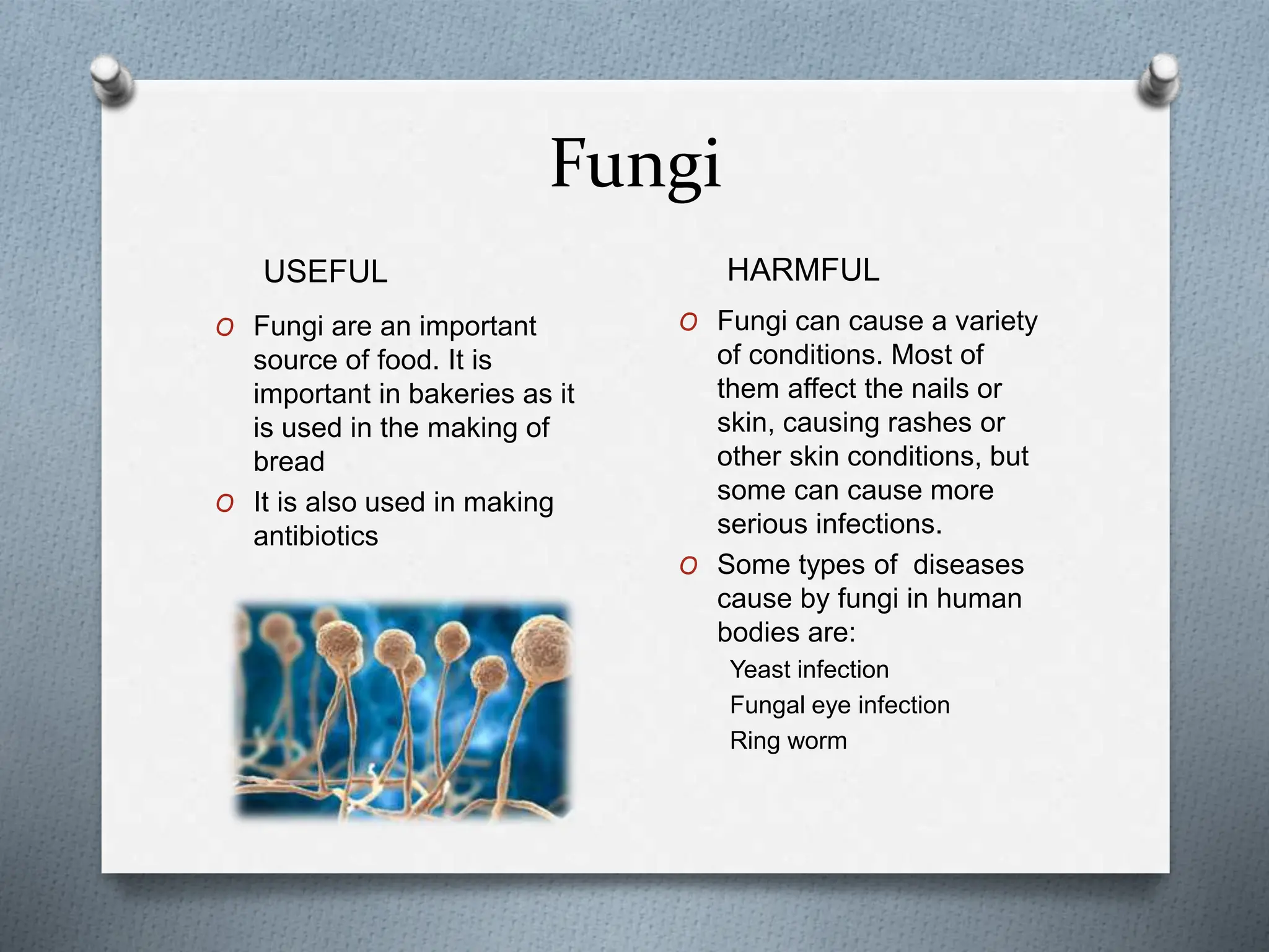 Harmful and Useful Microorganisms Presentation | PPTX