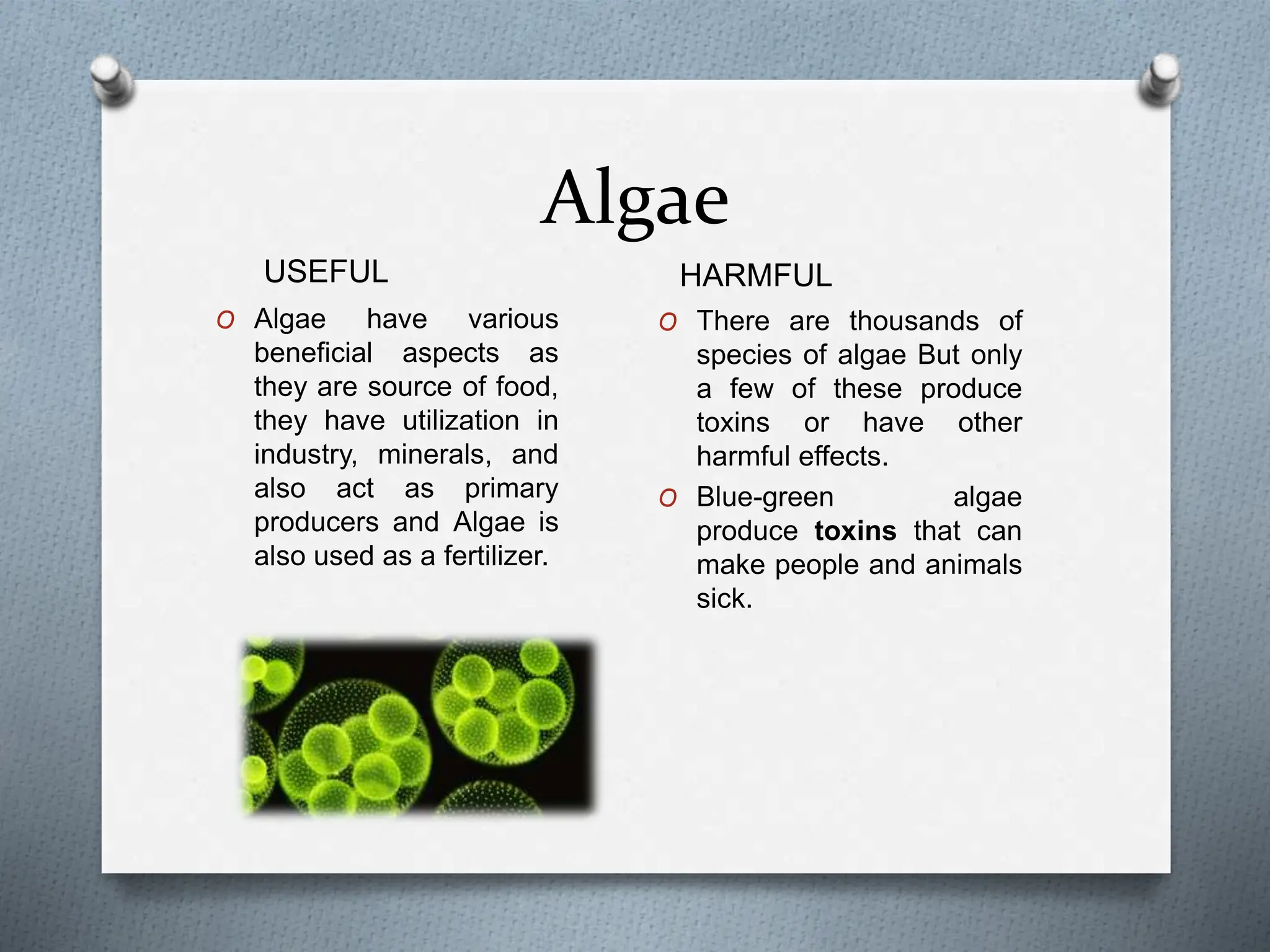 Harmful and Useful Microorganisms Presentation | PPTX
