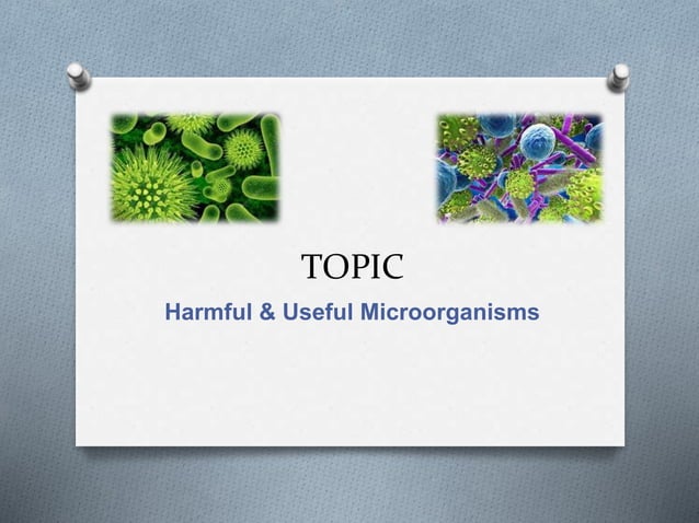 Harmful and Useful Microorganisms Presentation | PPTX