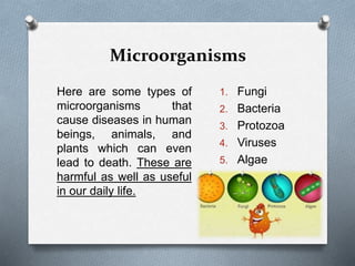 Harmful and Useful Microorganisms Presentation | PPTX