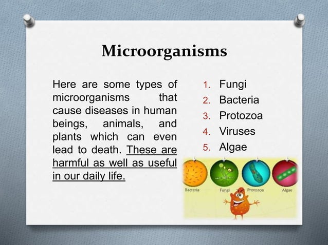 Harmful and Useful Microorganisms Presentation | PPTX