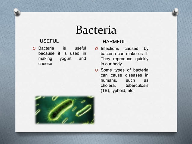 Harmful and Useful Microorganisms Presentation | PPTX