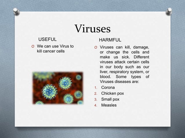Harmful and Useful Microorganisms Presentation | PPTX