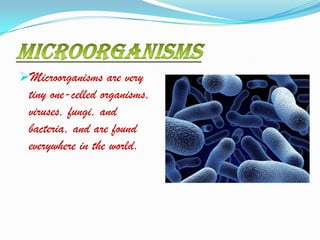 Microorganisms (3) (2) | PPTX | Infectious Diseases | Diseases and ...
