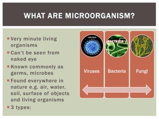 Microorganisms and their applications in biotechnology | PPTX
