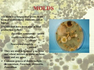 Microorganisms and their role in food technology | PPTX