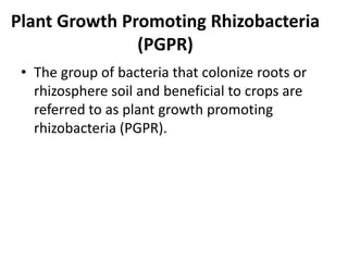 Microorganisms as biofertilizer | PPTX