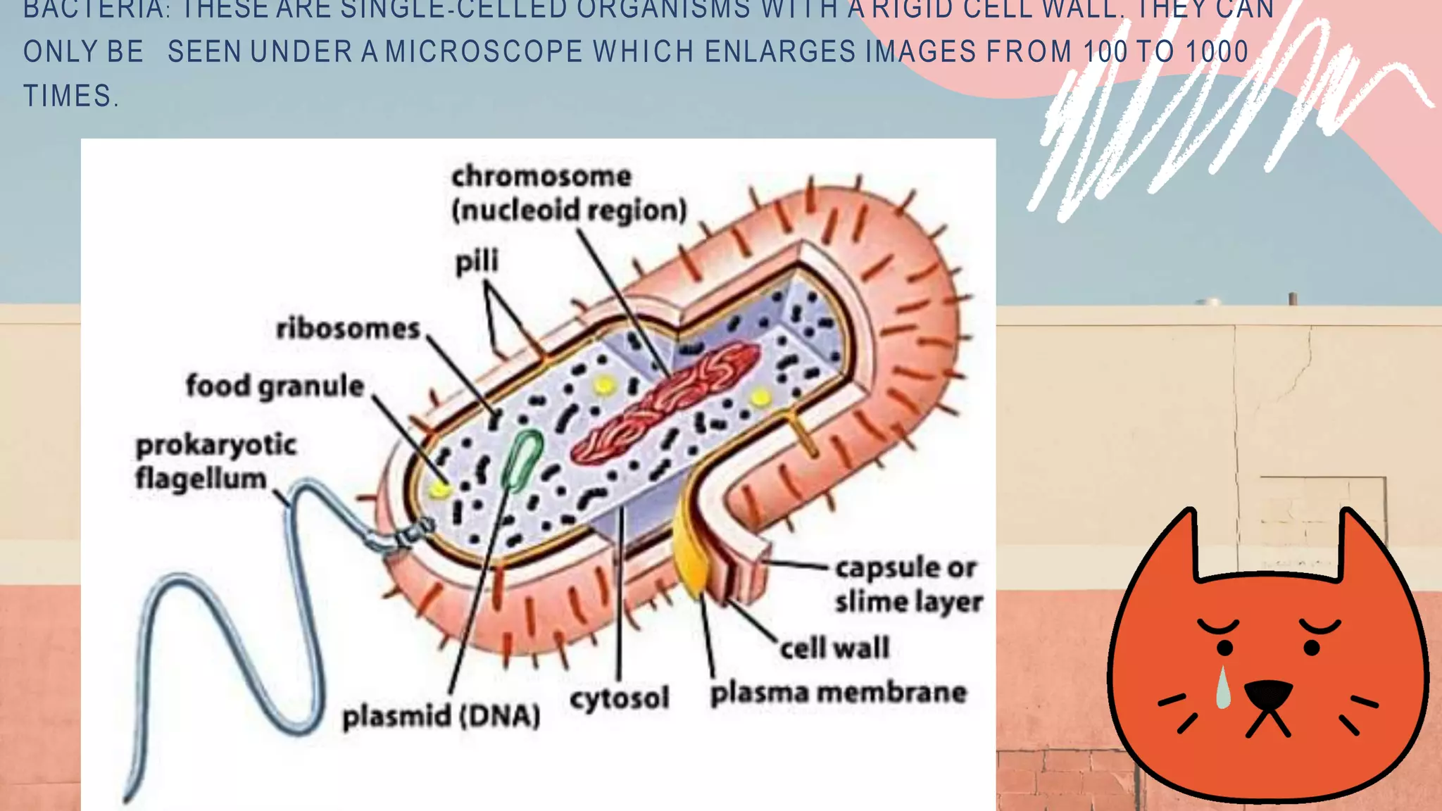 Microorganisms friend and foe converted | PPTX