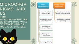 Microorganisms friend and foe converted | PPTX
