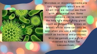 Microorganisms friend and foe converted | PPTX