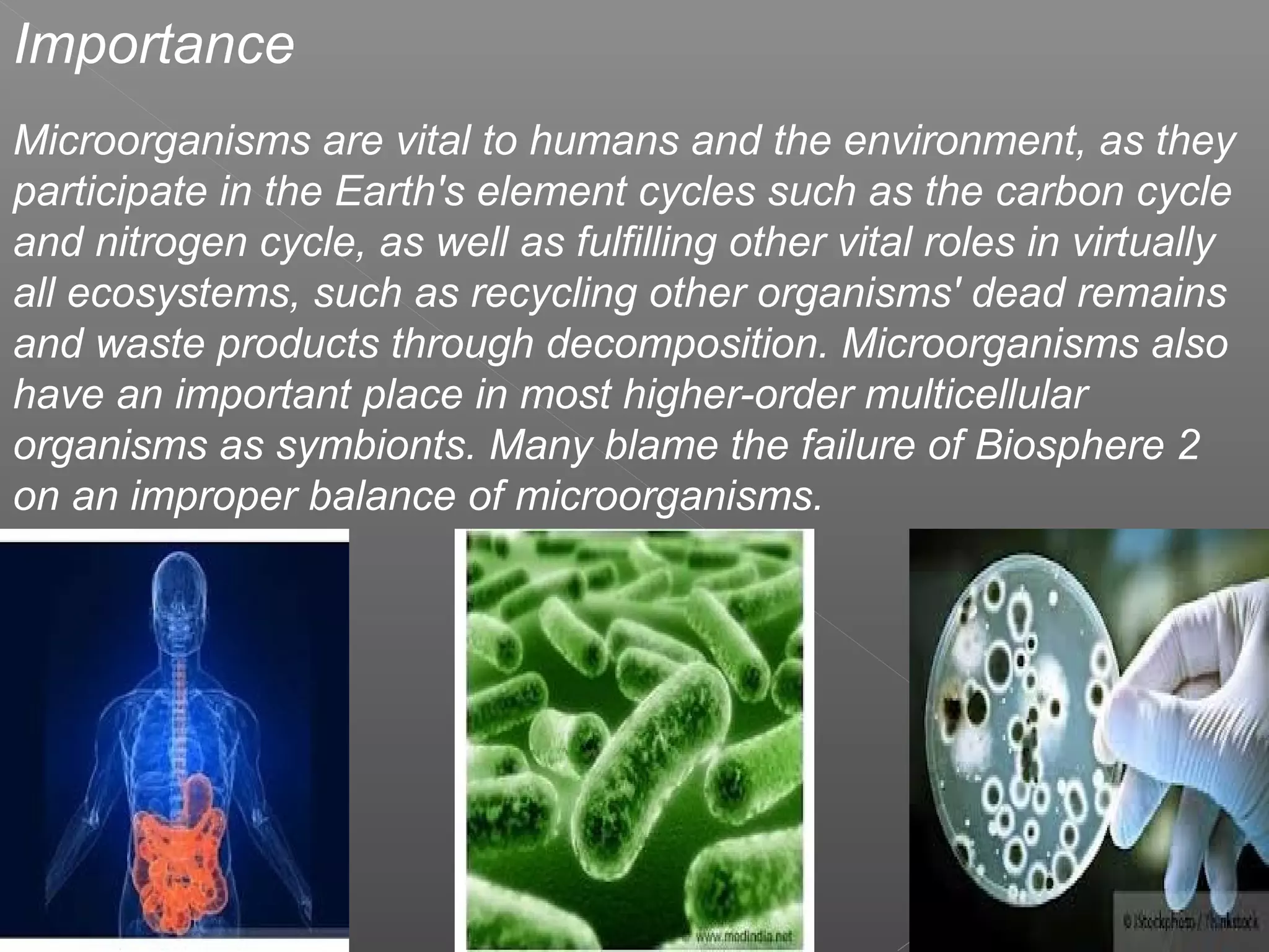 Microorganisms; friend and foe | PPT