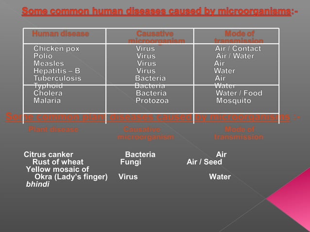 Microorganisms; friend and foe | PPT