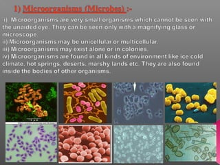Microorganisms; friend and foe | PPT
