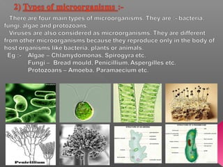 Microorganisms; friend and foe | PPT