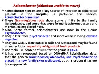 Microorganisms important in livestock products | PPT