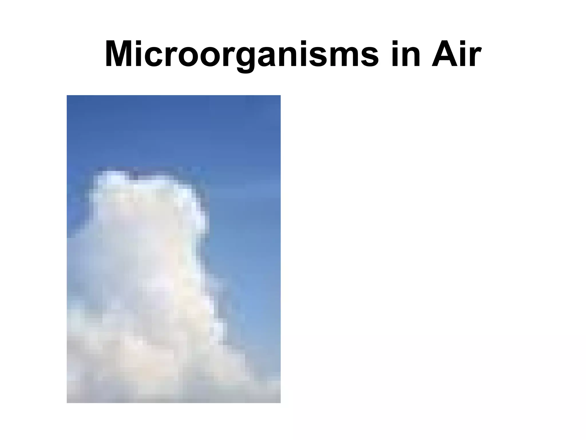 Microorganisms in air | PPT