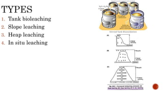 Microorganisms used for Bioleaching, M. Sc. Zoology, University of ...