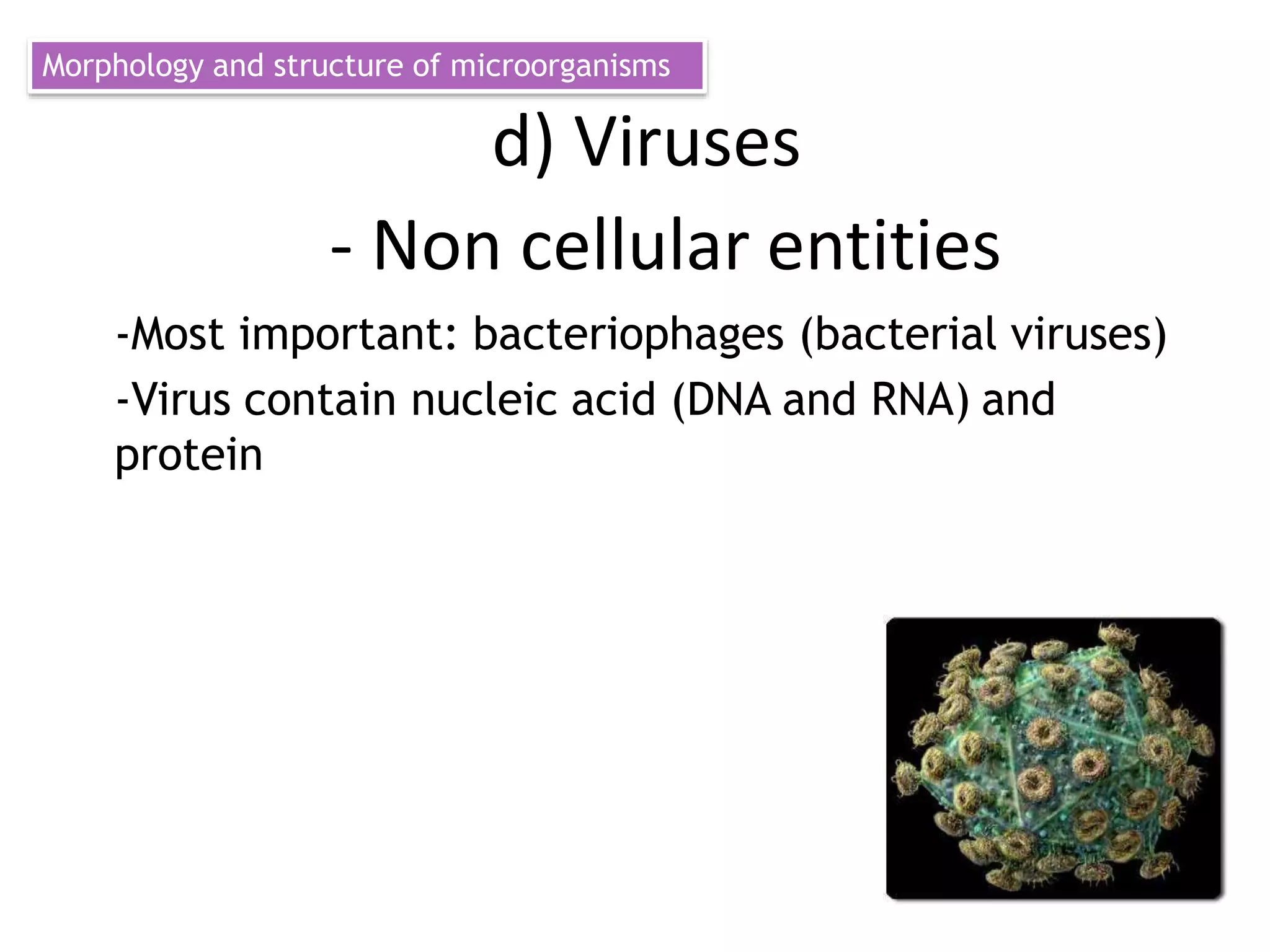 Microorganisms in food | PPTX