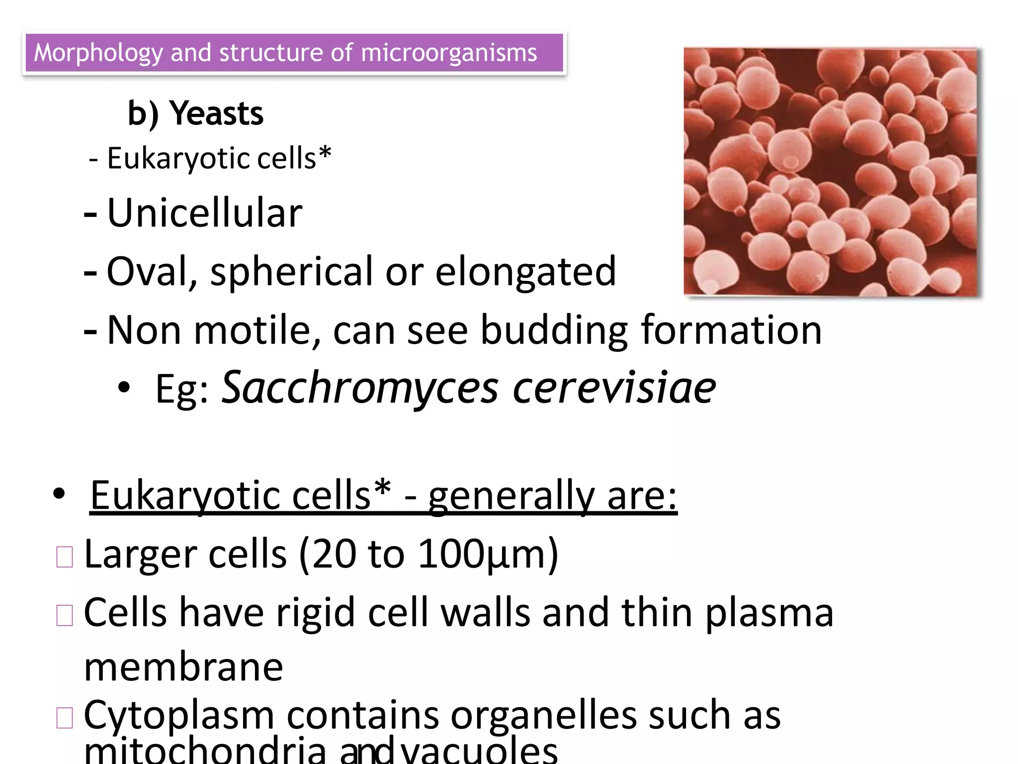 Microorganisms in food | PPTX