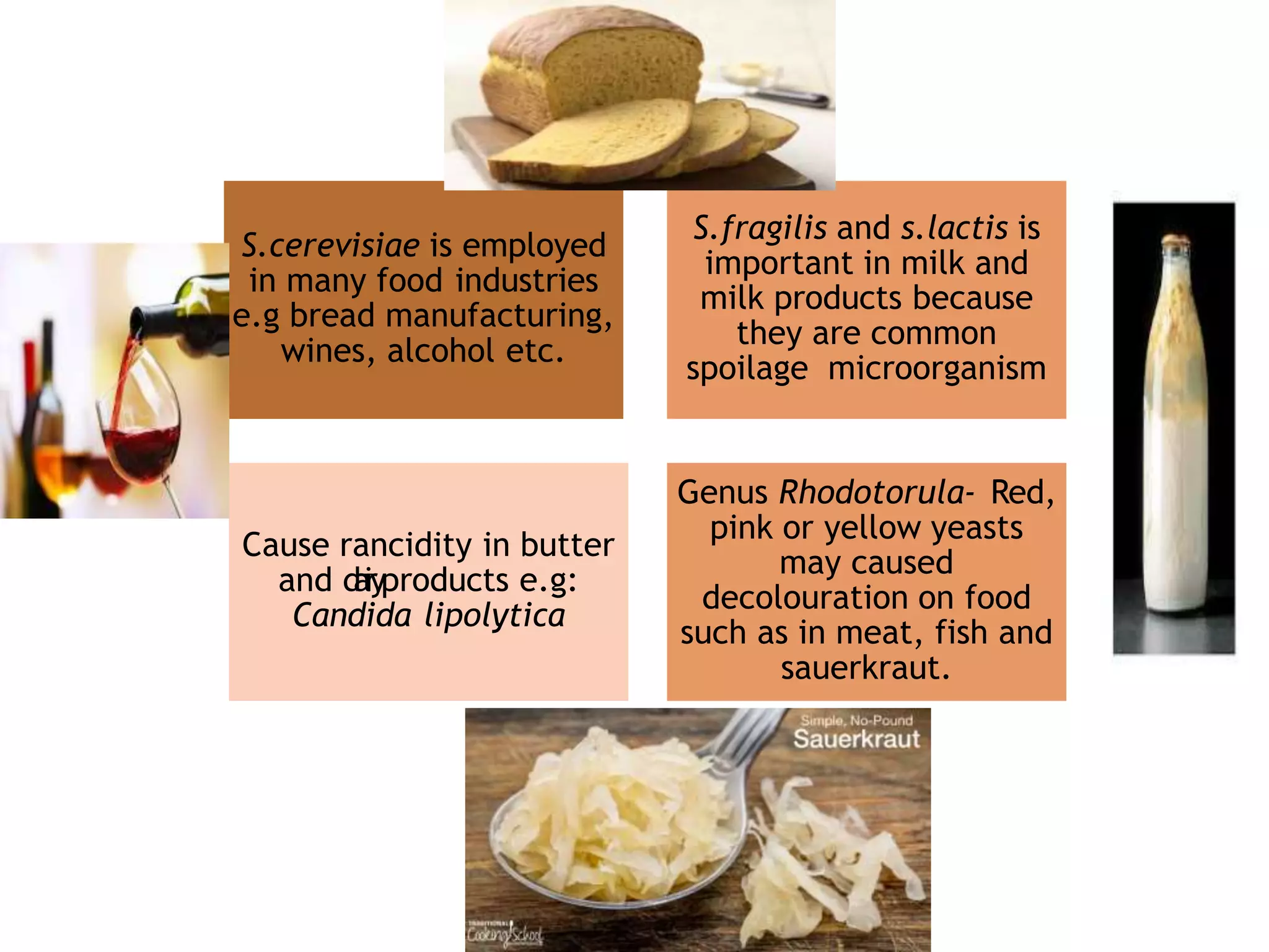 Microorganisms in food | PPTX