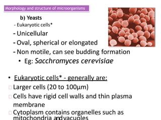 Microorganisms in food | PPTX