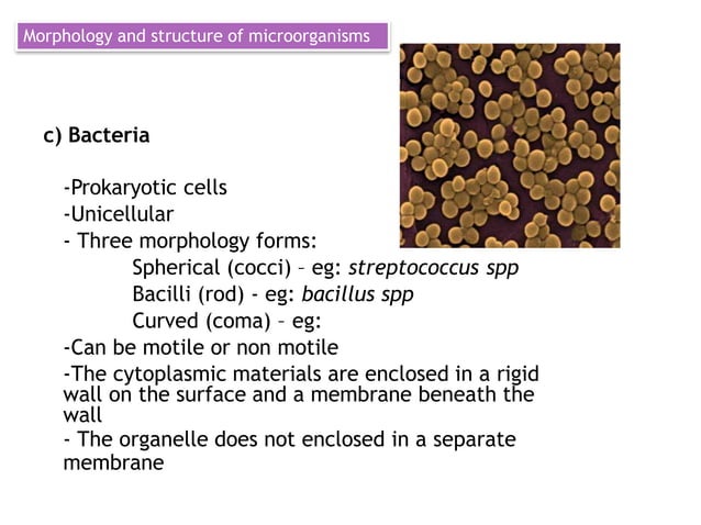 Microorganisms in food | PPTX