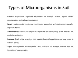 Microorganisms in Soil.pptx.............. | PPT