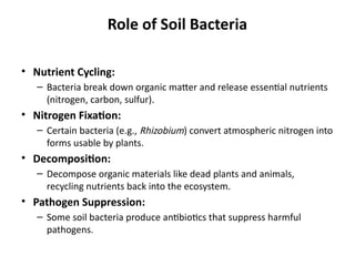 Microorganisms in Soil.pptx.............. | PPT