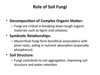 Microorganisms in Soil.pptx.............. | PPT