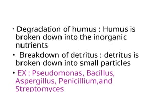 MICROORGANISMS IN SOIL PROCESSES (1) (1).pptx