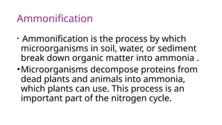 MICROORGANISMS IN SOIL PROCESSES (1) (1).pptx