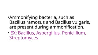 MICROORGANISMS IN SOIL PROCESSES (1) (1).pptx