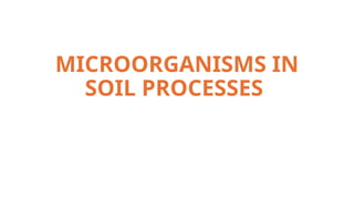 MICROORGANISMS IN SOIL PROCESSES (1) (2).pptx