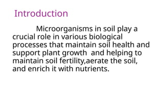 MICROORGANISMS IN SOIL PROCESSES (1) (2).pptx